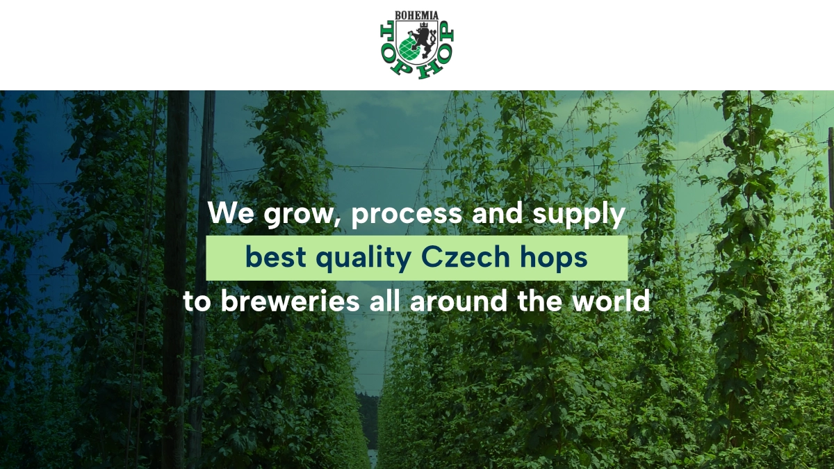 TOP HOP GROUP | Best quality Czech hops